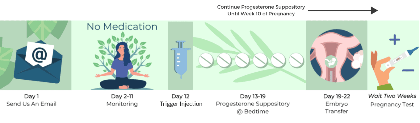 Embryo Transfer - Generation Next Fertility