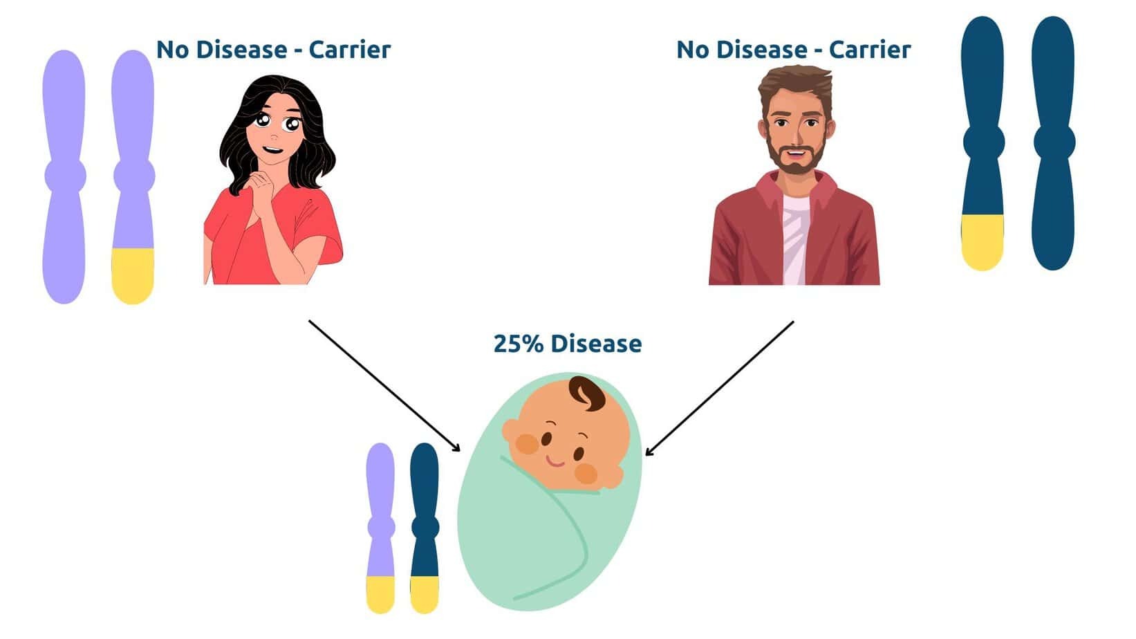 Genetic Carrier Screening - Generation Next Fertility