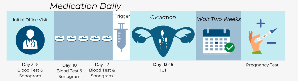 Intrauterine Insemination (IUI) - Generation Next Fertility