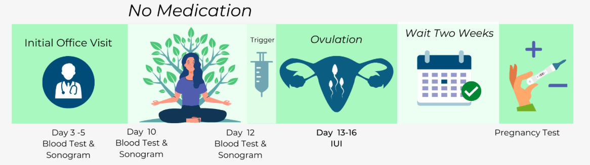 Intrauterine Insemination (IUI) - Generation Next Fertility