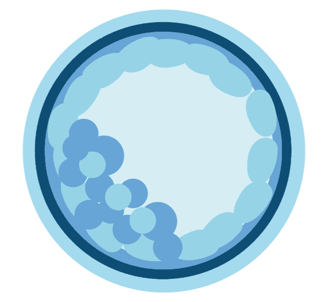 Mild IVF - Generation Next Fertility